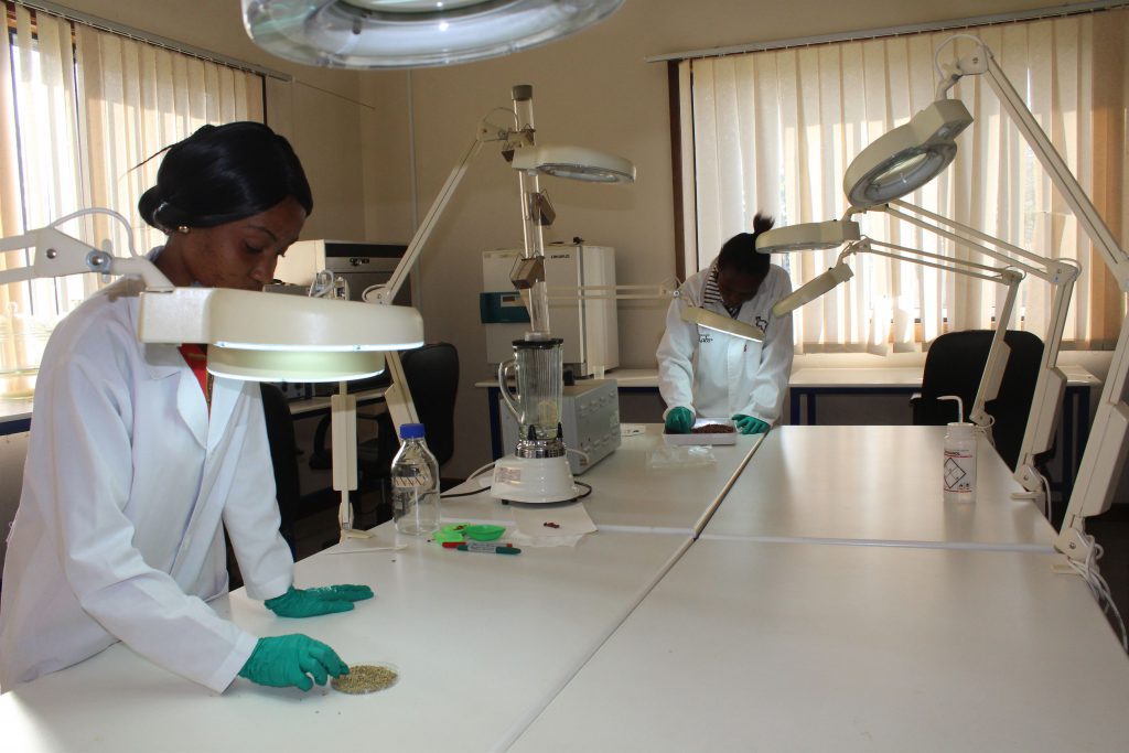 Seed Health Laboratories - Department of Crop Science and Horticulture ...